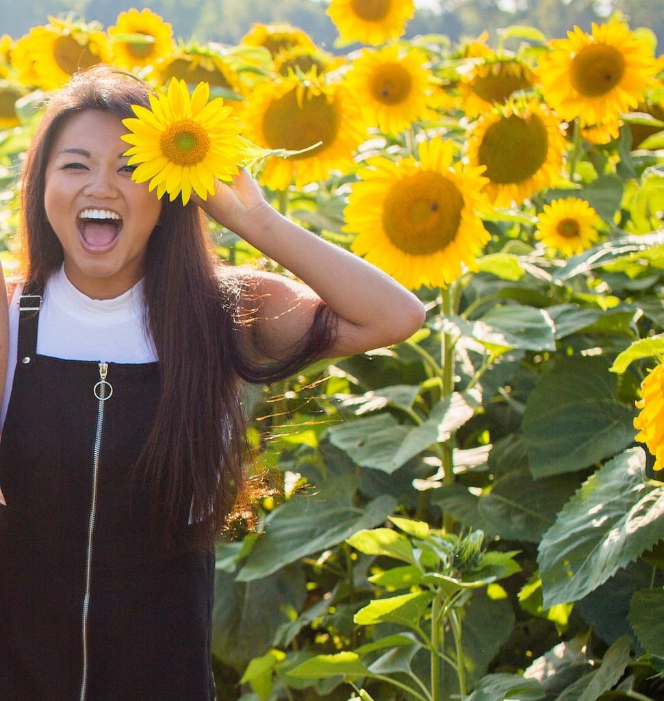 Profil Jaune - Test Disc | Chrysalide Formations
